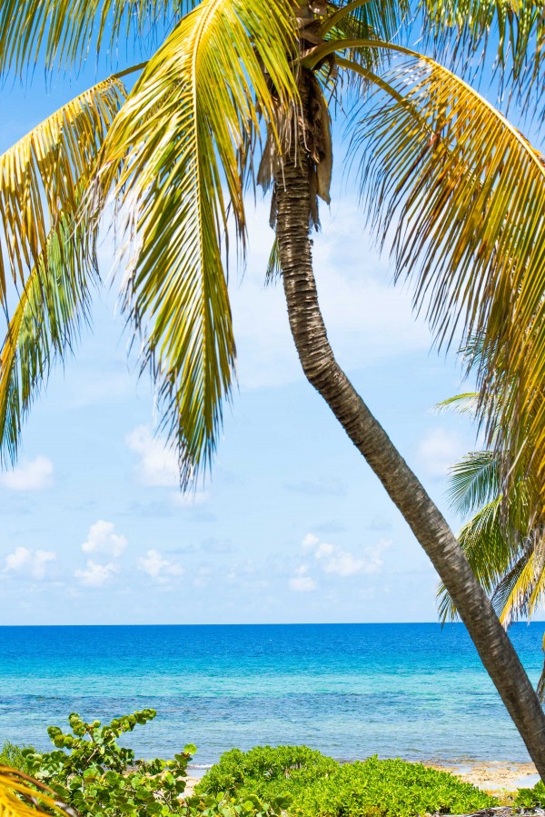 Juniper Bay Retreat - MLS# 412858 - Milestone Properties Cayman